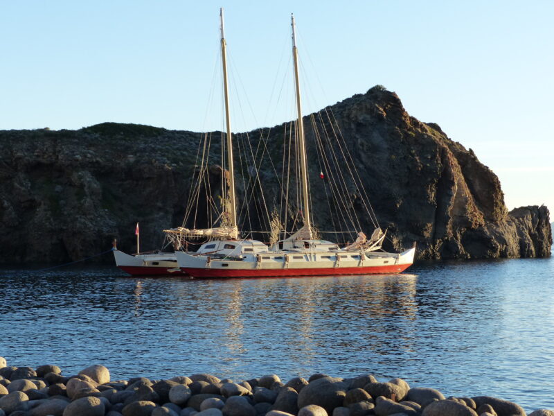 How Does Hanneke Boon’s Expertise Shape the World of Wharram Catamarans ...